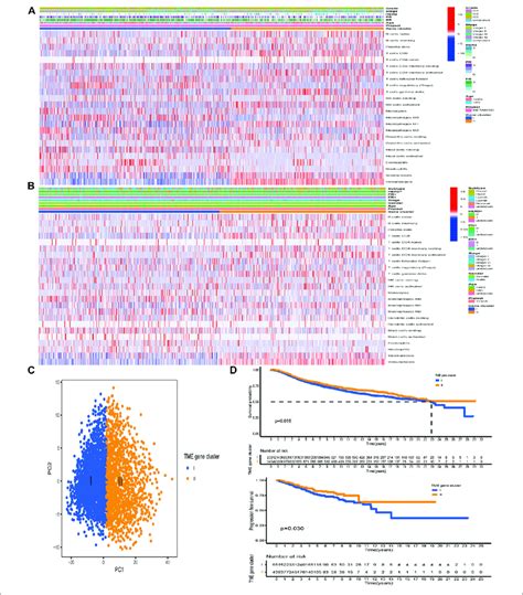 Construction Of Tme Related Gene Signature A B Unsupervised Download Scientific Diagram