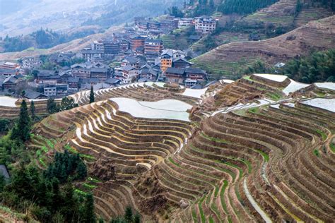 2024平安壮族梯田观景区游玩攻略 龙脊梯田风光龙脊梯田风光 去哪儿攻略