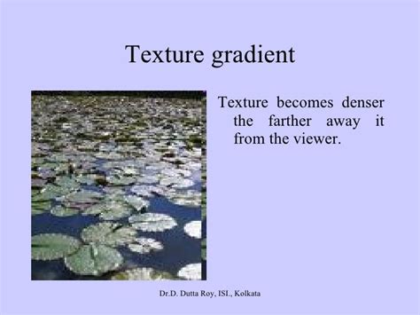 introduction to sensation perception and attention