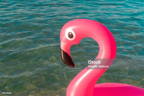 여름 재미 여름 바다 해변 배경에 푸른 바다 물에 분홍색 팽창식 플라밍고 럭셔리 라이프 스타일 여행 0명에 대한 스톡 사진 및 기타 이미지 Istock
