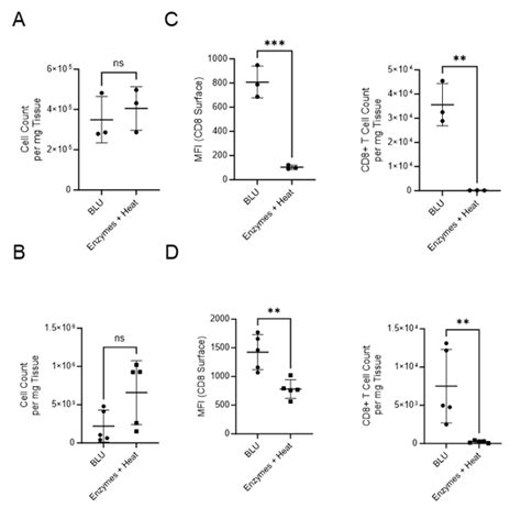 Significantly Improved Cd8 T Cell Isolation From Mouse Tumors With Simpleflow