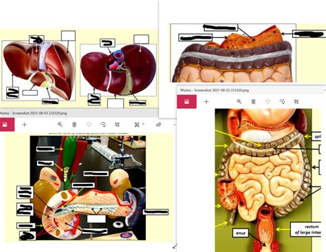 Unit 3 Lab Exam Diagram Quizlet