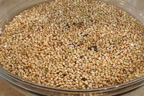 Хлеб из зеленой гречки ПП рецепт