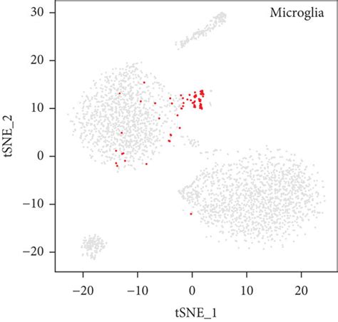 Analysis Of Cell Type Specific Regulation In The Mouse Brain Download Scientific Diagram
