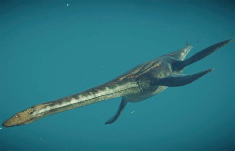 Jwe Plesiosaurus By Brandonallen1213 On Deviantart