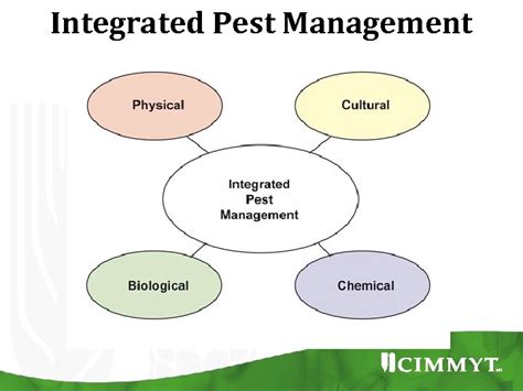 Principles Of Integrated Pest Management And Safe Use