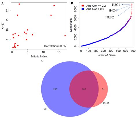 Comparative Analysis Between Mitotic Index And Ki 67 In Carcinoids A Download Scientific