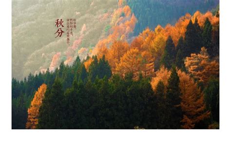 书单推荐 二十四节气之秋分风起白苹初日晚霜雕红叶欲秋分 内江市图书馆