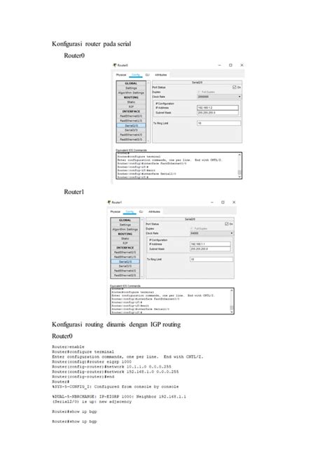 Dynamic Routing Bgp DOCX