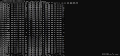 Python脚本实现dhcp报文的发送并模拟多用户并发拿取地址如何模拟dhcp Csdn博客