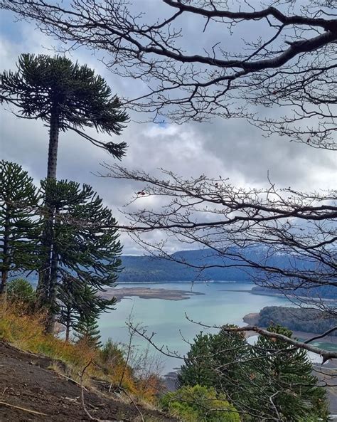 Conguillio National Park Best Places To Visit And Travel Tips