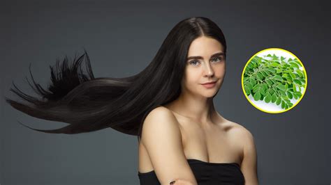 3 Ways To Use Curry Leaves Kadi Patta To Increase Hair Volume Herzindagi