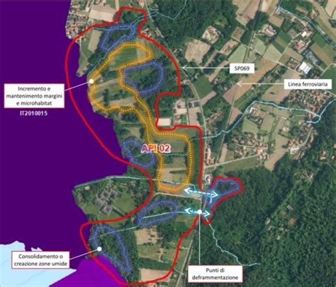 Esempio Di Schema Direttore Per Le Api Del Gruppo 01 Fonte Progetto Download Scientific