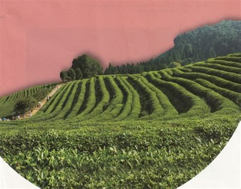 세계화 시대의 지역화 전략 네이버 블로그