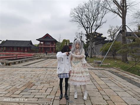 蛋蛋喵w On Twitter 前段时间出去和美少女们的分别合影，我好大只啊（本来人就高，还有高跟，加上头壳的厚度与头饰然后