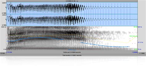 Forensic Speaker Identification Digisound Mastering