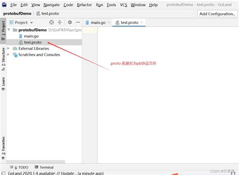 如何利用protobuf协议实现go语言编程（保姆级教程）proto3传输bytes Go语言 Csdn博客