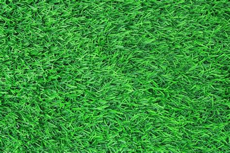 Grass Top View