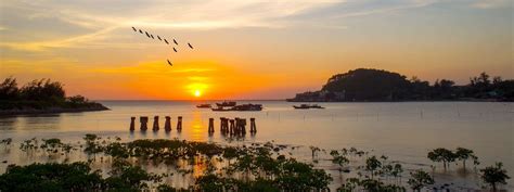 Kinh Nghiệm Du Lịch Đồ Sơn Hải Phòng Tiết Kiệm 2023