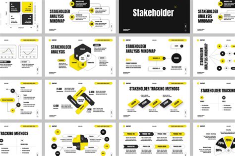 Stakeholder Infographic Incl Stakeholder And Infographic Envato
