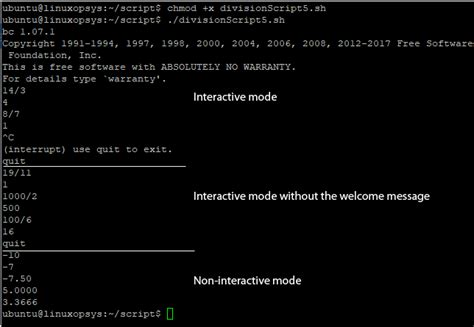 Bash Division Explained