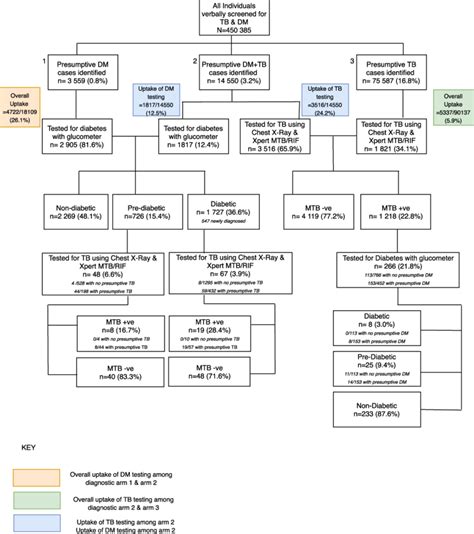 Diagnostic Algorithm And Results Of Tb Dm Bidirectional Screening Download Scientific Diagram