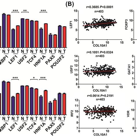 Expression Pattern Of Transcription Factors Tfs And Their Download Scientific Diagram