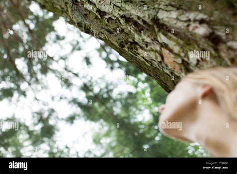 Tree Viewed From Directly Below Hi Res Stock Photography And Images Alamy