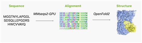 Accelerate Protein Structure Inference Over 100x With Nvidia Rtx Pro