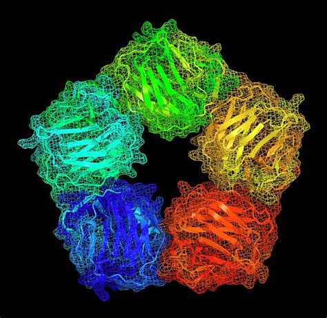 C Reactive Protein Photograph By Alfred Pasieka