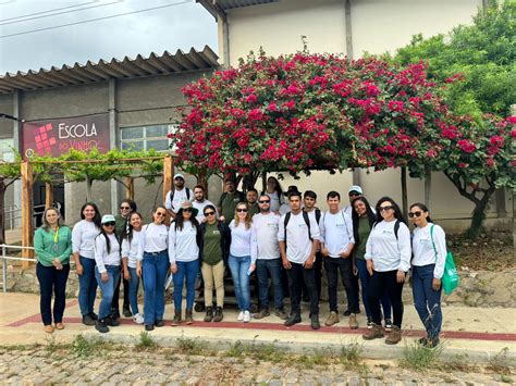 Senar Pe Abre Inscrições Para Cursos Técnicos Gratuitos Da Rede E Tec