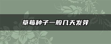 草莓种子一般几天发芽 蓝妖花园