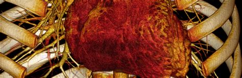 Osirix Dicom Viewer Icons Healthcare Osirix Dicom Viewer Icons Healthcare