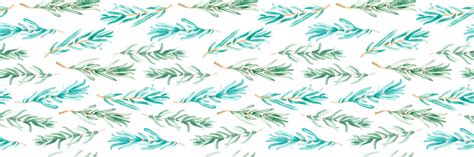 수채화 로즈 패턴 완벽 한 녹색 로즈마리 장식 공예 라벨 디자인 바이오 식품 건강관리와 의술에 대한 스톡 벡터 아트 및 기타 이미지 건강관리와 의술 건강한 식생활 꽃