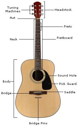 Photos And Diagrams How String Instruments Work