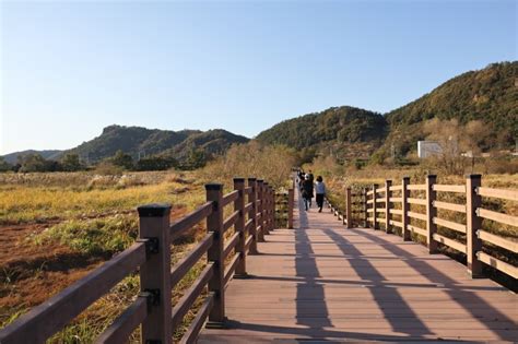 가을빛으로 물든 화포천습지생태박물관 김해 아이와 가볼만한 곳 추천 네이버 블로그