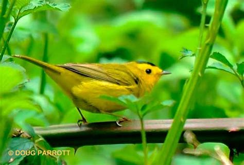 Lives Up Close Constance Sidles