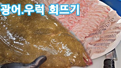 광어 3kg 우럭 1kg 광어 우럭회 포장 회뜨기 2접시모듬회 YouTube