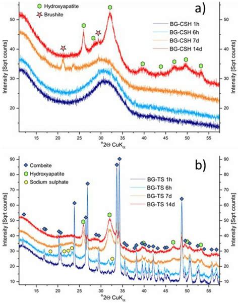 Xrd Patterns Of The Ts And Csh Samples After Immersion In Sbf For Up To