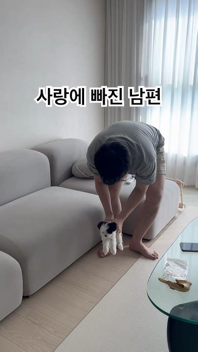 사랑에 빠진 남편 Youtube