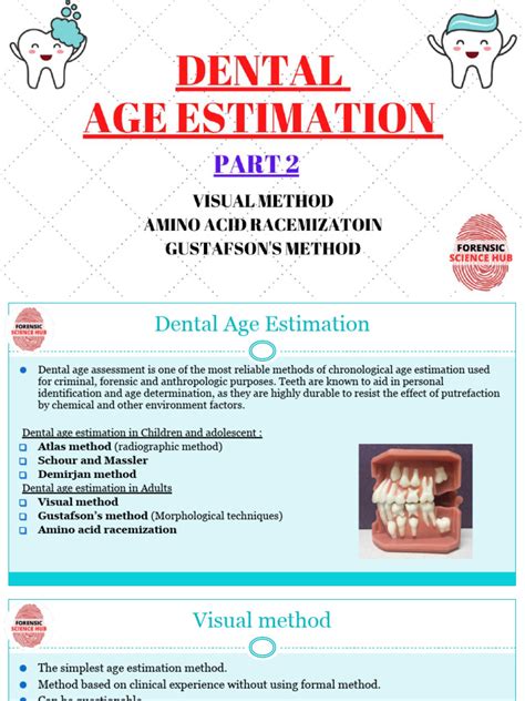 Dental Age Estimation 2 Pdf Dentin Tooth