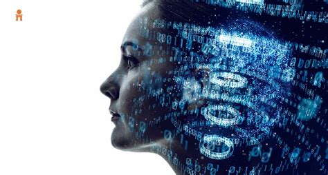 Coding Vs Data Science Making The Right Choice For Yourself