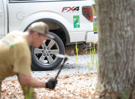 Tree Risk Assessments Top Notch Tree Care