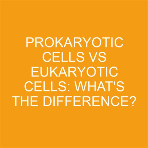 Prokaryotic Cells Vs Eukaryotic Cells Whats The Difference