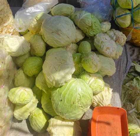 Cabbages In A Plastic Bag On A Market Stall Stock Image Image Of
