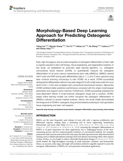 Pdf Morphology Based Deep Learning Approach For Predicting Osteogenic