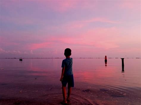 Premium Photo Rear View Of Man Standing On Beach During Sunset