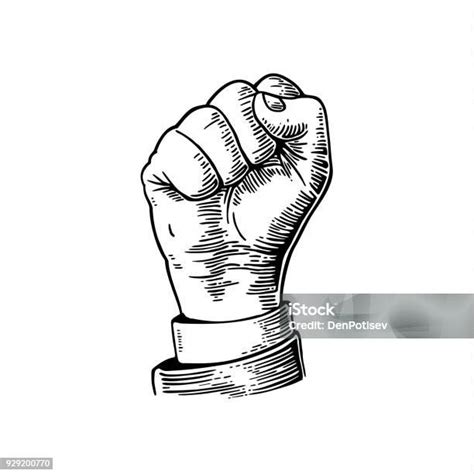 인간의 손이 쥔된 주먹으로 벡터 블랙 빈티지 새겨진된 그림 흰색 배경에 고립 웹 포스터 정보 그래픽 손 기호 갈고리 발톱에 대한