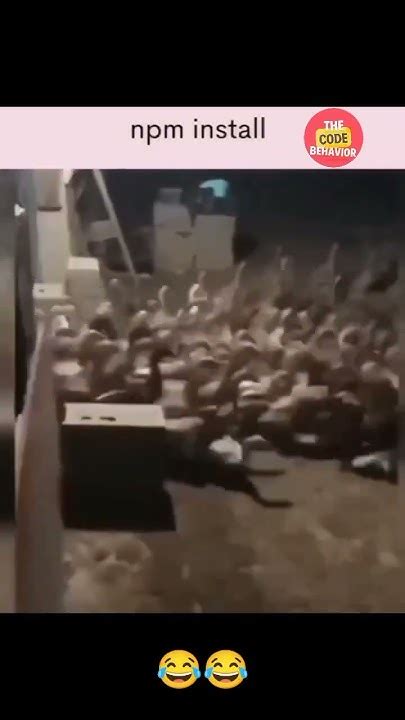 How Npm Install Works Exactly Npm Npminstall Nodejs Youtube