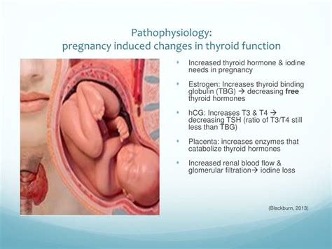 Ppt Hypothyroidism During Pregnancy Powerpoint Presentation Free